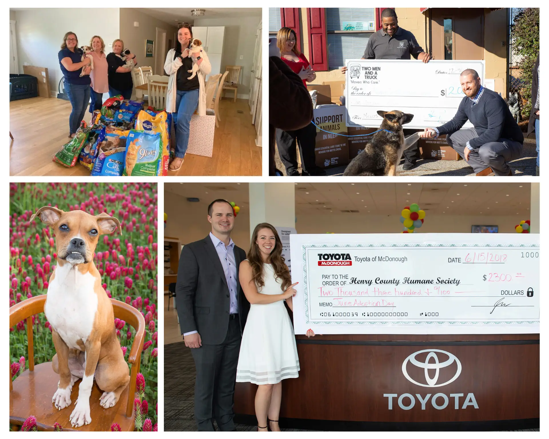 Donations Collage – Henry County Humane Society